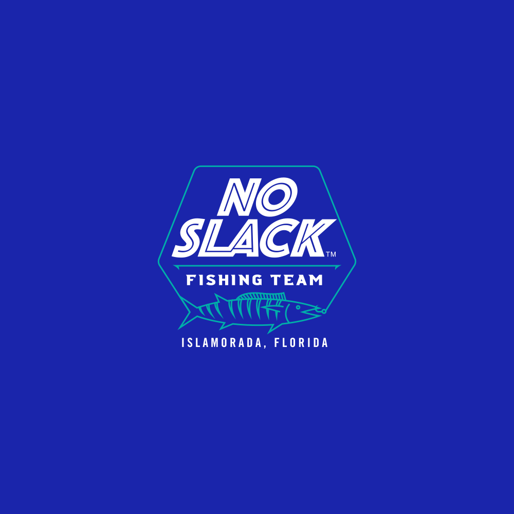 Logo Design Portfolio | Final & Unselected Logos | Visual Lure