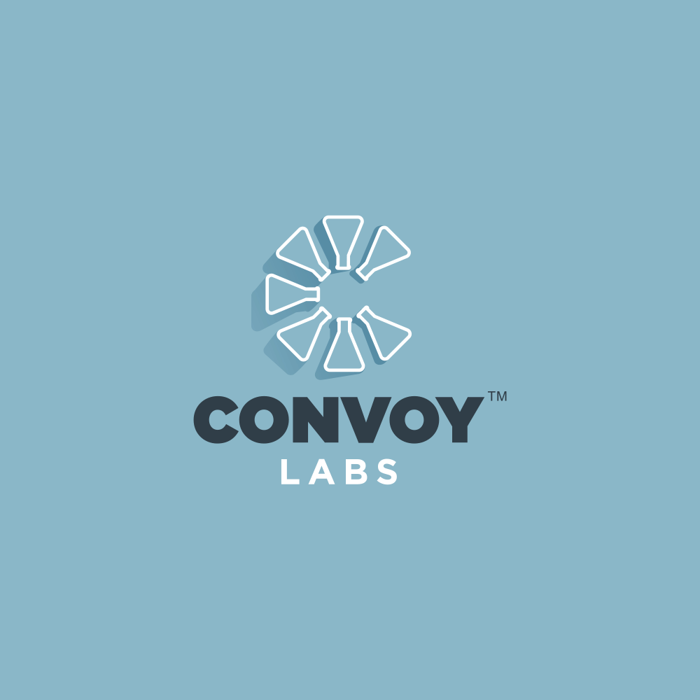Logo Design Portfolio | Final & Unselected Logos | Visual Lure