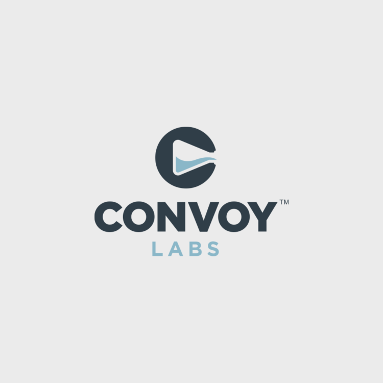 Logo Design Portfolio | Final & Unselected Logos | Visual Lure